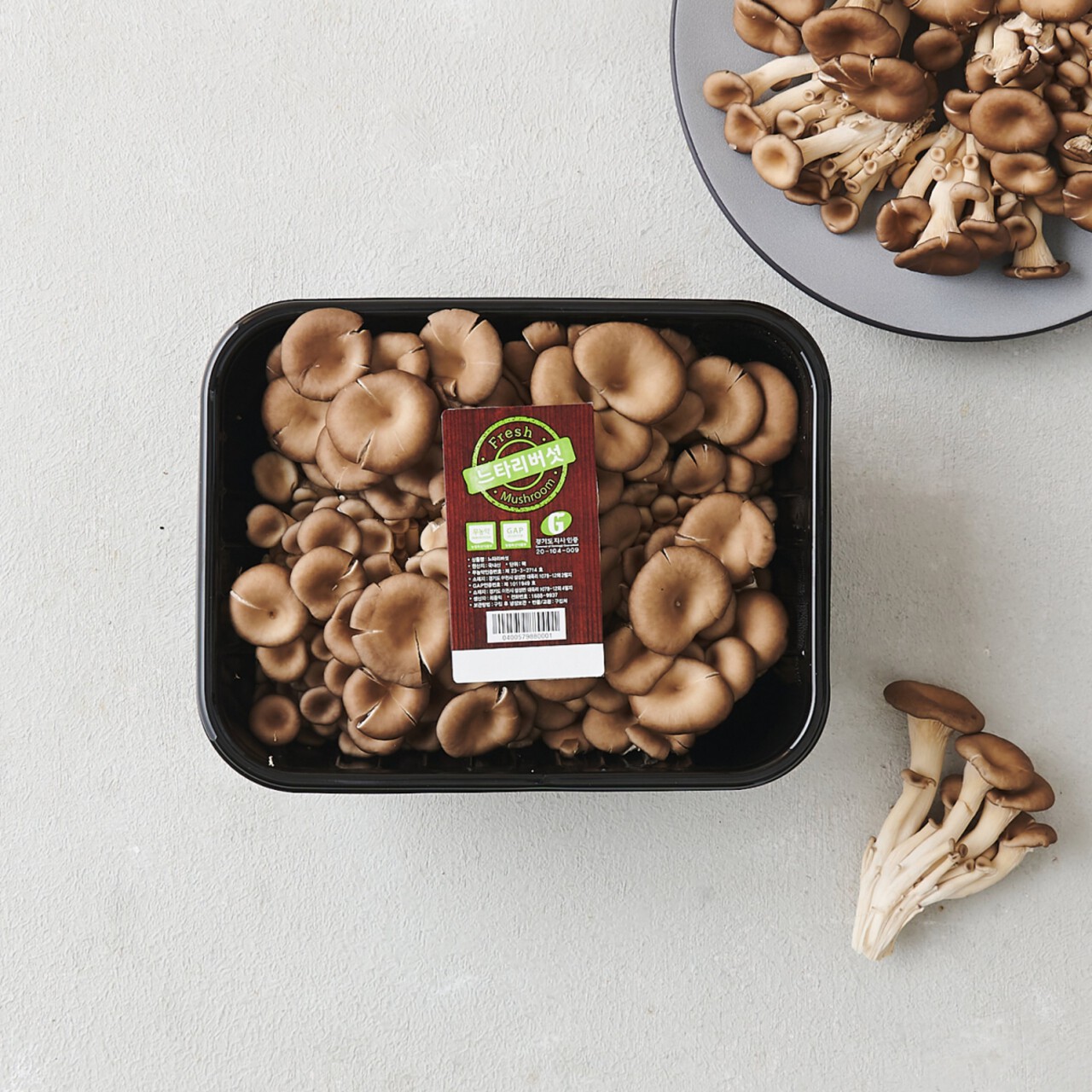 GAP 친환경 느타리 버섯 (500G)ㅣ롯데마트 제타 최상의 신선 식품과 다양한 간편식을 롯데마트 제타에서 만나보세요