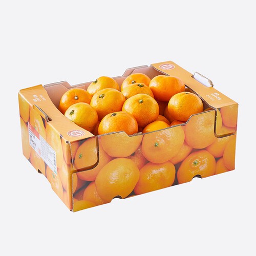 [행사카드 최종가 7,960원] 제주 GAP 감귤 (3KG/박스)ㅣ롯데마트 제타 최상의 신선 식품과 다양한 간편식을 롯데마트 제타에서 만나보세요