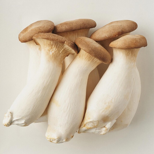 GAP 친환경 뿌리손질 새송이버섯 (300G*2봉)ㅣ롯데마트 제타 최상의 신선 식품과 다양한 간편식을 롯데마트 제타에서 만나보세요