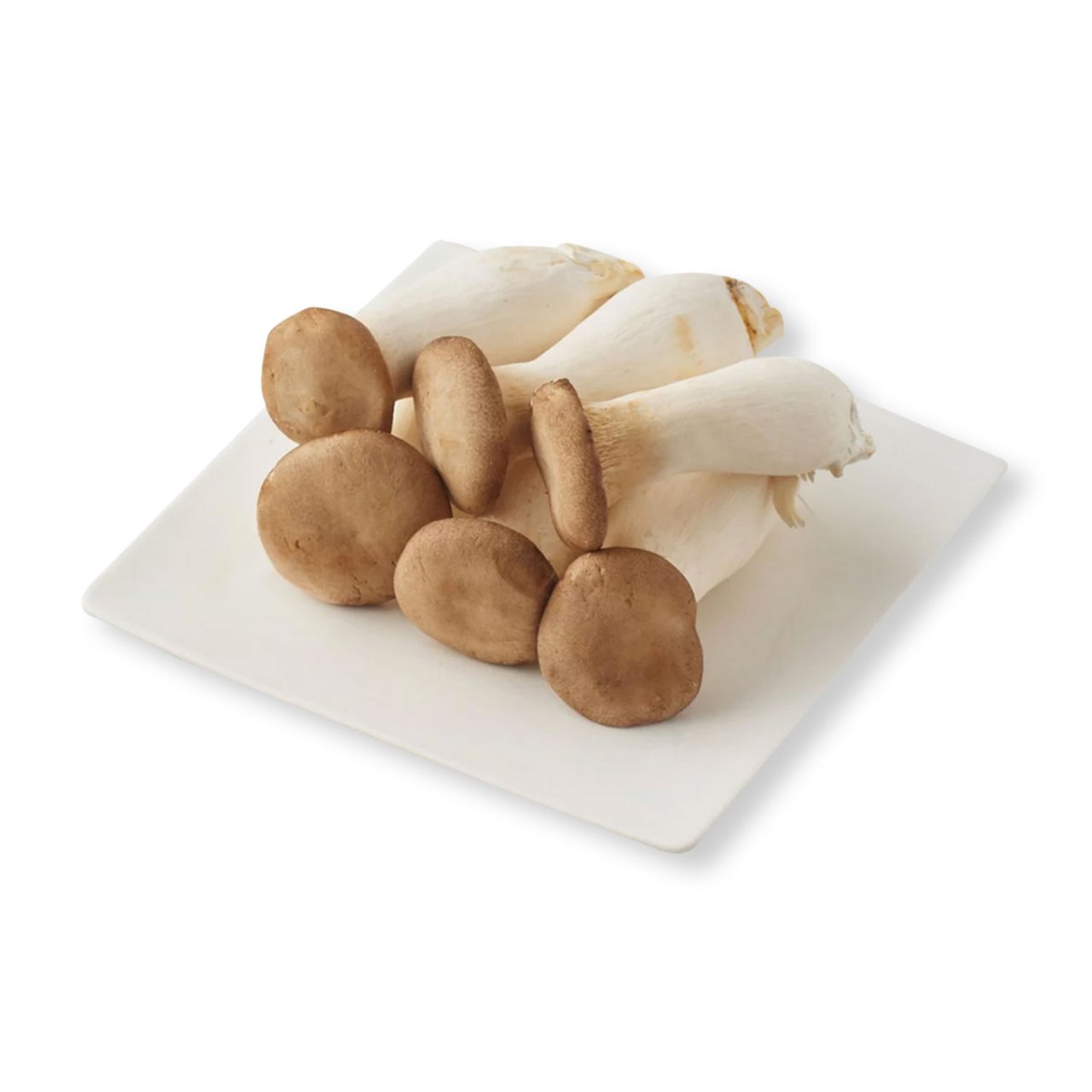 【제타특가】 GAP 친환경 뿌리손질 새송이버섯 (300G*2봉)ㅣ롯데마트 제타 최상의 신선 식품과 다양한 간편식을 롯데마트 제타에서 만나보세요